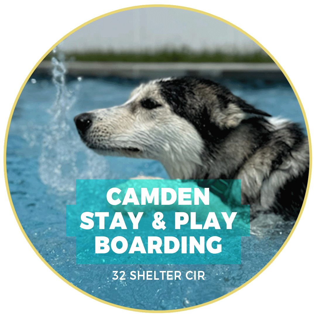 Contact – First State Animal Center